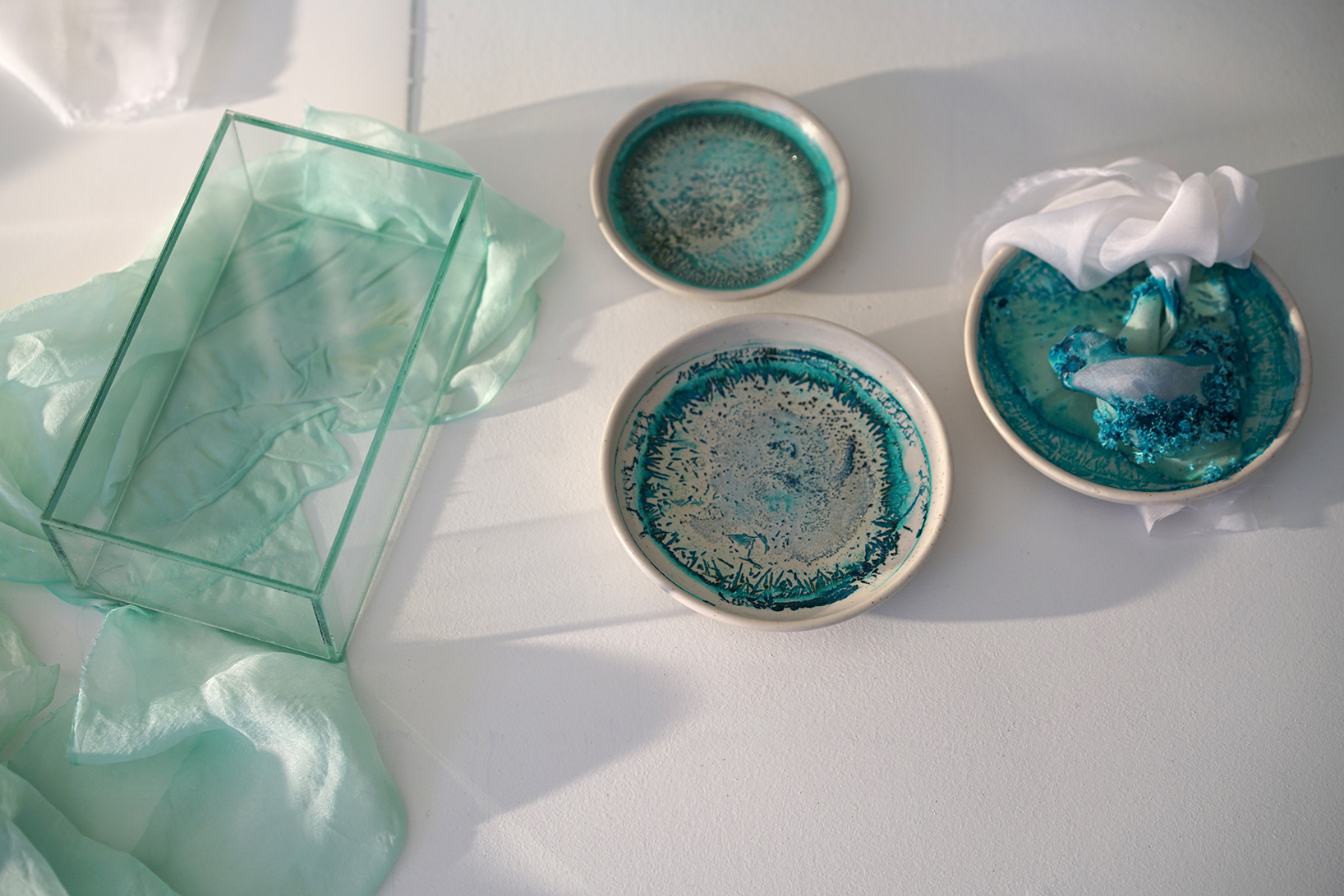 CV – JULIE ROCH-CUERRIER